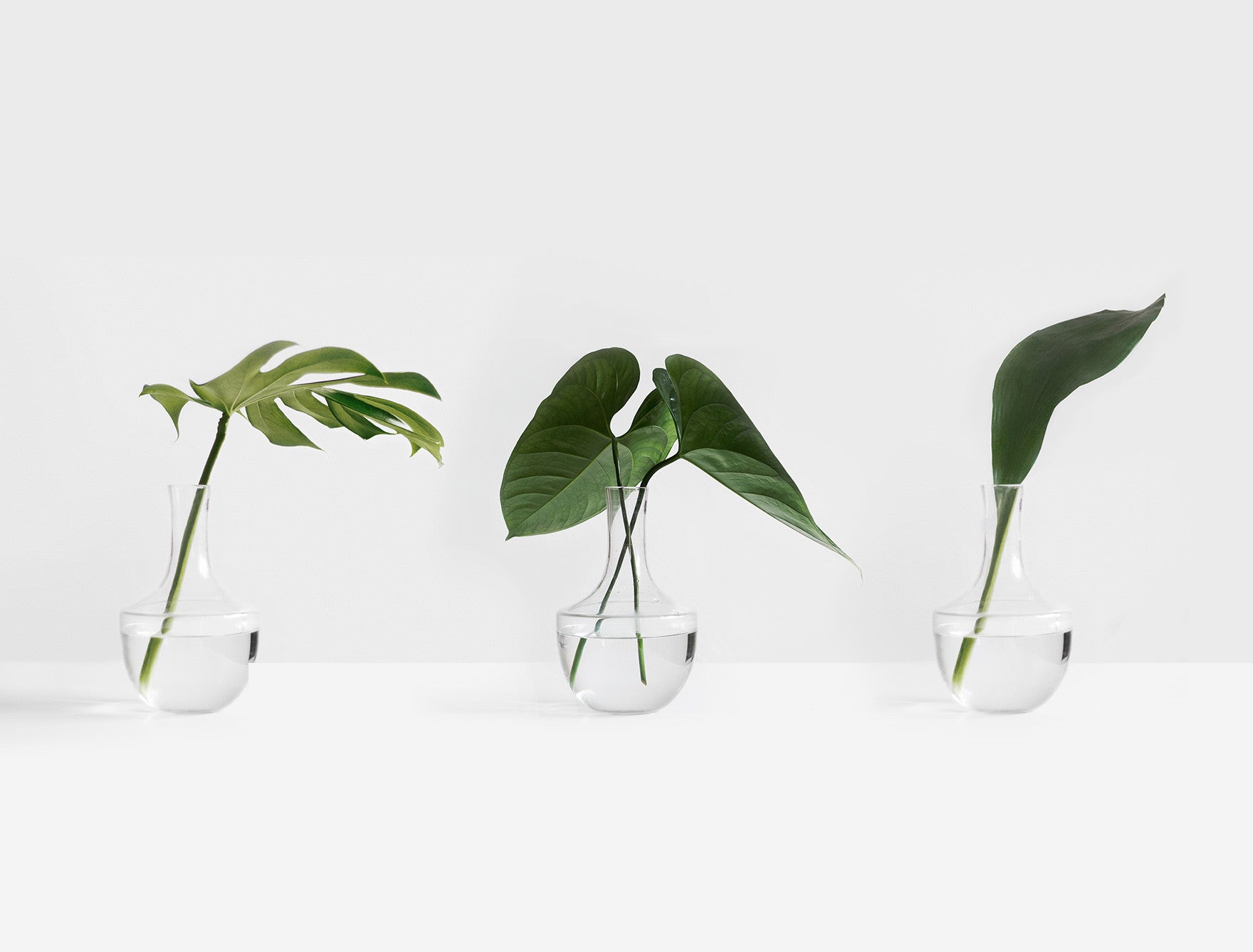 All Products – Pure Finds